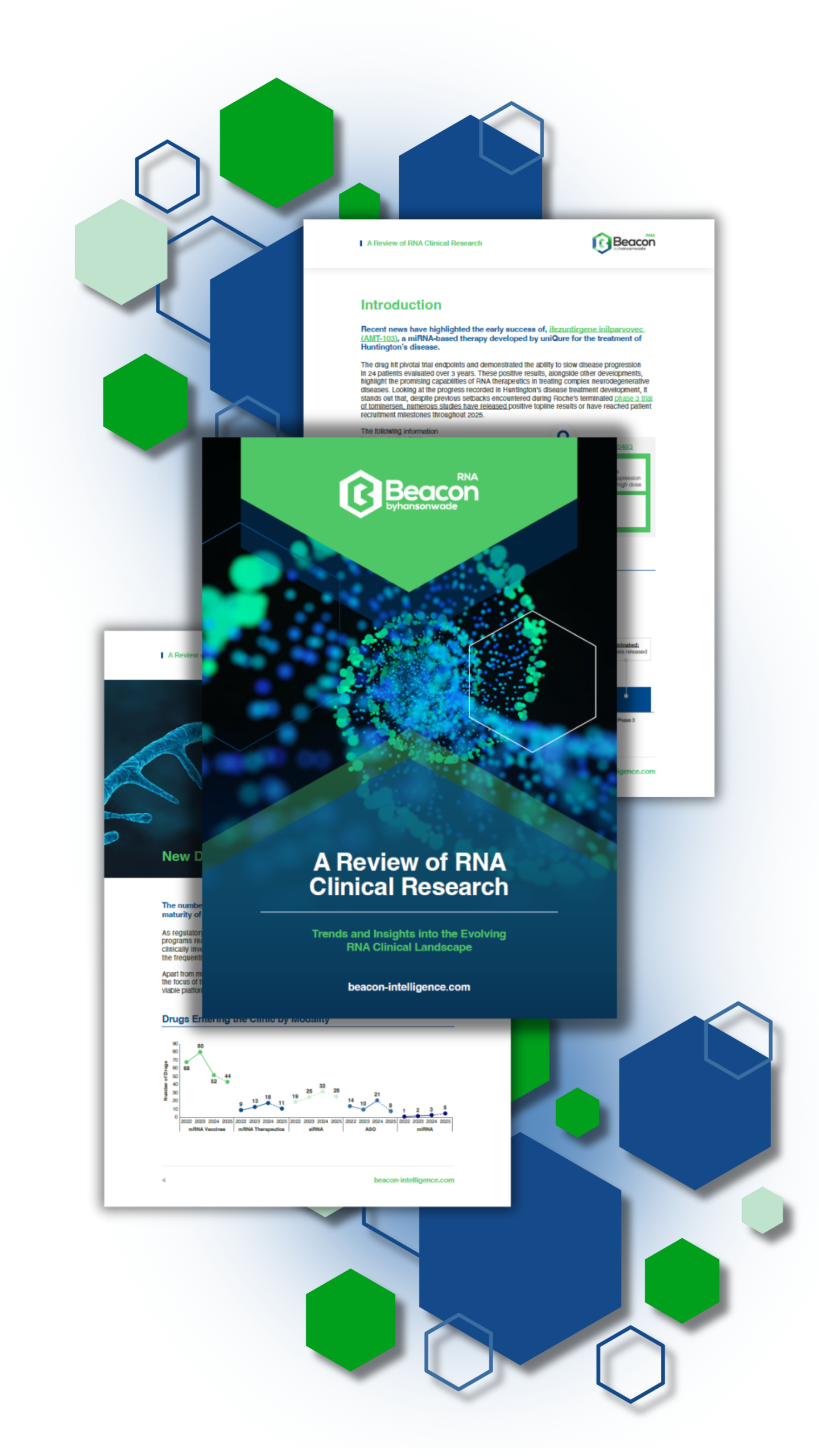 Review of RNA Clinical Research Report